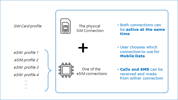 Part 1: Essentials: eSIM Profiles, chip, and Dual-SIM function